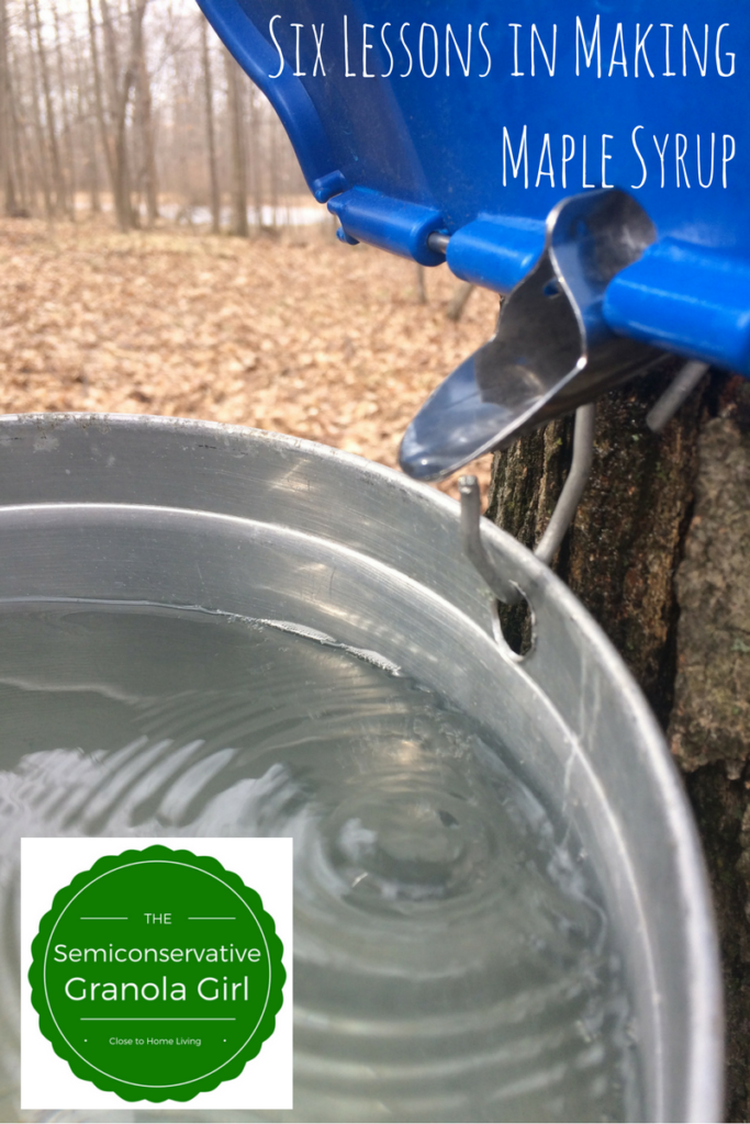 Six Lessons in Making Maple Syrup - The Semiconservative Granola Girl